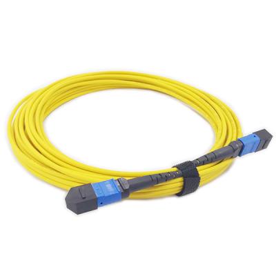 Cina Data Center che cabla Mpo al cavo di Mpo, cavo di toppa di Lszh del modulo di QSFP in vendita