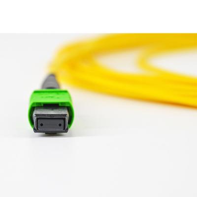 Cina MPO/APC - soluzioni multi- ad alta densità delle fibre del cavo della toppa APC/di MPO in vendita