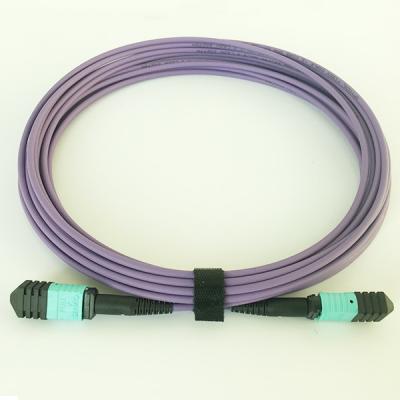 中国 12データ センタのケーブルで通信することのための中心MPOパッチ ケーブルOM4 50/125μM 3.0mm LSZHの紫色 販売のため