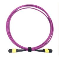 China OFNP MPO Patch Cable for sale