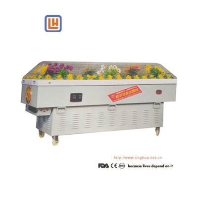 China Funeral Display  Body Ice Box Corpse Refrigerator Air-Condition Coffin Mortuary Cooler for Dead Body Fridge Morgue refri for sale