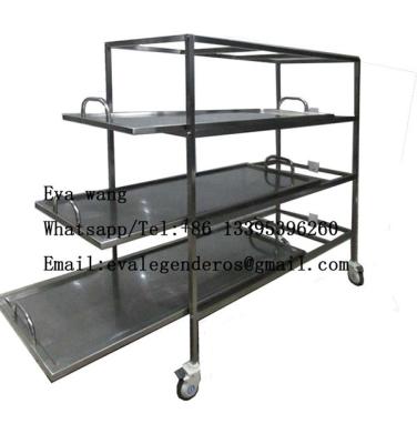 China Mortuary hospital stainless steel corpse storage rack for sale