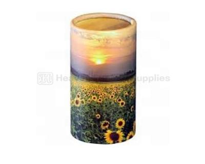 China Funeral Biodegradable Scattering Tube / Cremation Urn for sale