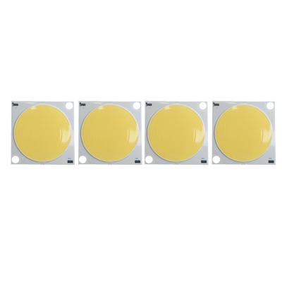 Cina 3838 chip CRI80 3000K 4000K della PANNOCCHIA LED da 300W per la luce di fotografia in vendita
