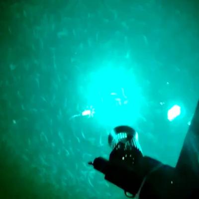 China HY1308 Blue450nm 7Watt COB LED Chips 9V For Fishing Lights Fish Attracting Lights for sale