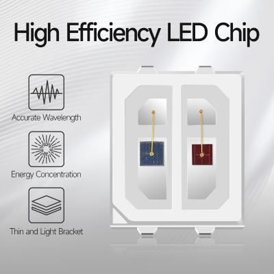 China SMD Dual Color 650NM 845NM Beauty Therapy Led SMD 2835 2V LED CHIP for sale