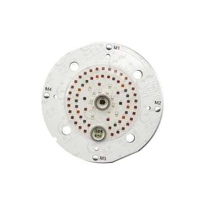 China Multi Color IN 1 COB 5032 RIRBYIRRB LED CHIP 100W Beauty Therapy LED for sale