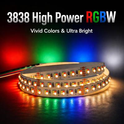 China RGBW LED Strip Light 3838 RGBW  CRI 80 120D lamp source High Density  IP66 Waterproof Dimmable LED  for Ambient Light and Landscape Lighting for sale