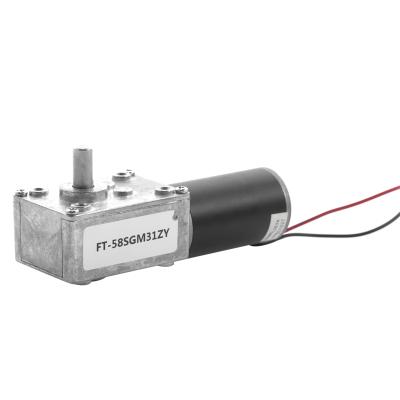 China Futeng Factory Wholesale 1-500RPM High Torque Reducer  Self-lock Engine 24V 12V Dc Micro Worm Gear Electric Motor for sale