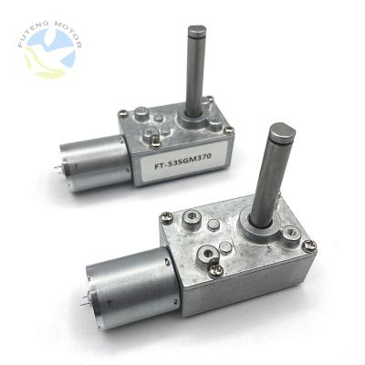 China OEM ODM Custom High Torque 12v 24v Mini Low Rpm Brush Dc Electric Worm Gear Motor for Robot for sale