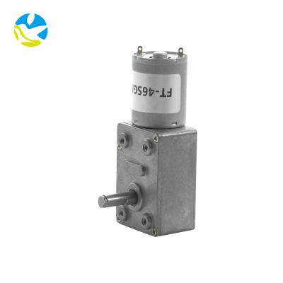 China Futeng Factory Customized 12V 24V Micro DC  Worm  Electric Gear Motor for sale