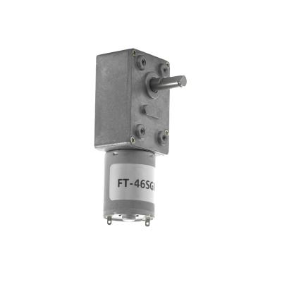 China 3-24V High Torque Reduce Speed Dc Worm Geared Motor for Medical Equipment for sale