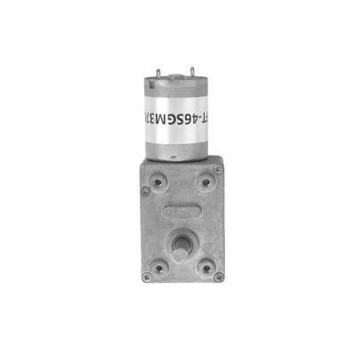China FT-46SGM370 High Torque Slow Speed Rpm Worm Gear Motor for Office Equipment for sale