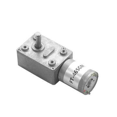 China Futeng Factory 12V 24V High Quality Dc Worm Gear Motor for Industrial  Electric Product for sale