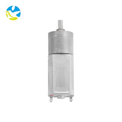 China Customized FT-20RGM180 Micro  Gear Motor 3-24v DC Spur Gear Motor for sale