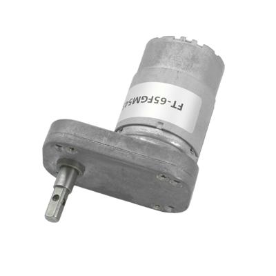 China Brushed DC Flat Gear Motor Low Noise 12V DC Gear Motor FT-65FGM545 for sale