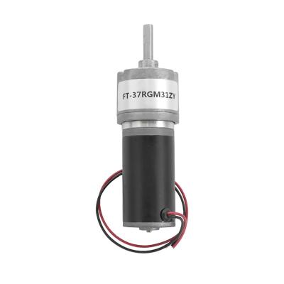 China Slow Speed 2-500 Rpm High Torque Gear Motor Low Noise  Micro Spur  Gear Motor for Electric Tools for sale