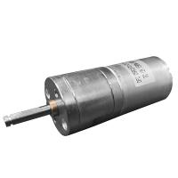 Quality Custom FT-25RGM370 3-24V 25mm long lifetime Dc Gear Motor low speed high torque for sale