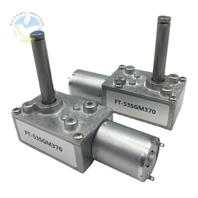 China FT-53SGM370 12v 24v DC Worm Gear Motor for Self-cleaning Litter Boxes for sale