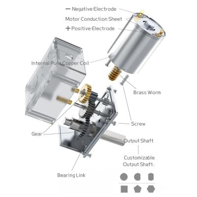 China FT-46SGM370 12v 24v Dc Motor High Torque Low Noise Worm Gear Motor for Office Equipment for sale