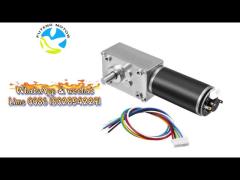 FT-58SGM31ZY  Slow Speed Big Torque Worm Gear Motor With Hall Encoder for Lawn Mower For You
