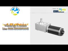ft-58sgm31zy  slow speed big torque worm gear motor with hall encoder for lawn mower