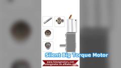 FT-46SGM370 Worm Gear Motors