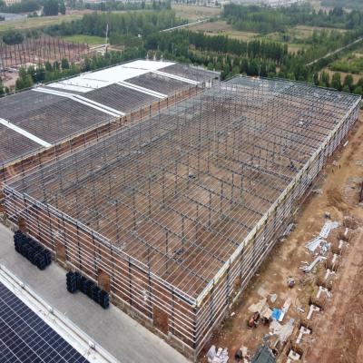 China Prefabricated Steel Frame Warehouse Building with H-Section Columns for sale