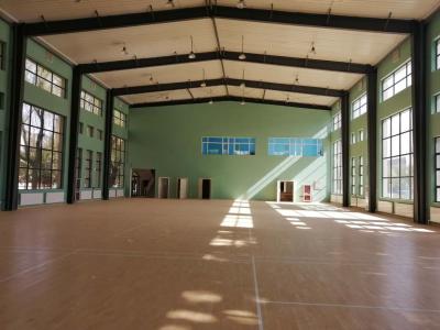 China Pre Engineered Steel Structure Badminton Hall Q235B Q355B Material for sale
