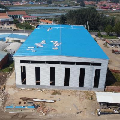 China Galvanized Steel Structure Warehouse Prefabricated Large Span for sale