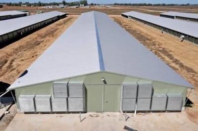 China Poultry House Prefabricated Steel Structure Poultry House With Sandwich Panel Galvanized Steel for sale