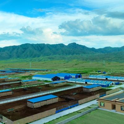 China Prefab Steel Structure Modular Cow Farm Shed Steel Building with Durable Surface Treatment and Long Service Life for sale