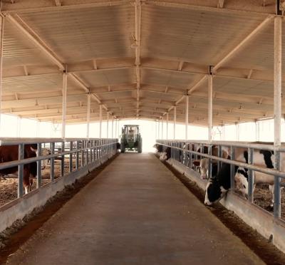 China Heavy Duty Steel Horse Stable Modular Design For Customizable Horse Barn Systems for sale