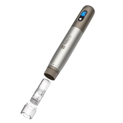 China 12 Pins Needle Type Hydra Pen The Perfect Combination of Anti-Aging and Acne Treatment for sale