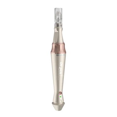 Cina Dr Pen E30 Derma elettrico per la cura della pelle Macchina di bellezza per l' anti-invecchiamento in argento rosa in vendita