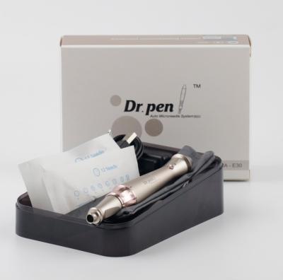 Cina Dr Pen E30 Derma elettrico per la cura della pelle Macchina di bellezza per l' anti-invecchiamento in argento rosa in vendita