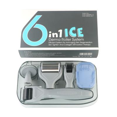 Cina Manicotto PC medico professionale ICE Derma Roller 6 in 1 per il ringiovanimento della pelle in vendita