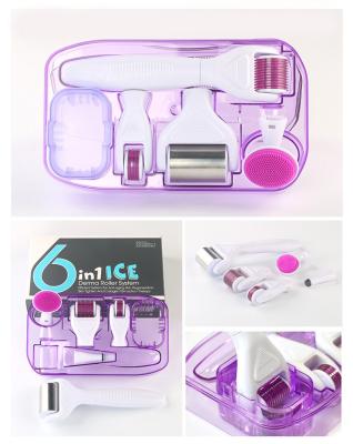 Cina Manicotto PC medico professionale ICE Derma Roller 6 in 1 per il ringiovanimento della pelle in vendita