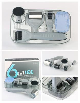 Cina Manicotto PC medico professionale ICE Derma Roller 6 in 1 per il ringiovanimento della pelle in vendita