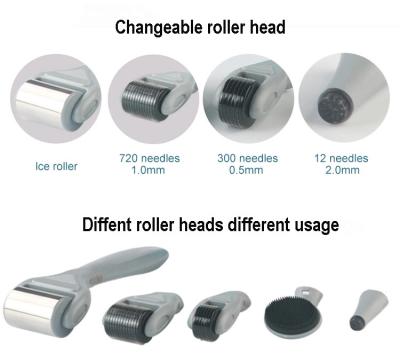 Cina Manicotto PC medico professionale ICE Derma Roller 6 in 1 per il ringiovanimento della pelle in vendita