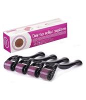 China Hands Target Area Derma Roller Derma Rolling System with 540 Microneedle Titanium for sale