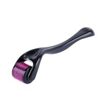 China Hands Target Area Derma Roller Derma Rolling System with 540 Microneedle Titanium for sale