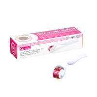 China Hands Target Area Derma Roller Derma Rolling System with 540 Microneedle Titanium for sale