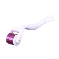 China Hands Target Area Derma Roller Derma Rolling System with 540 Microneedle Titanium for sale