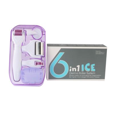 China 6 in 1 Derma Roller Kit met Ice Roller Huidkoeling Derma Care Gezichtsverzorging GEEN Plugs Type Te koop
