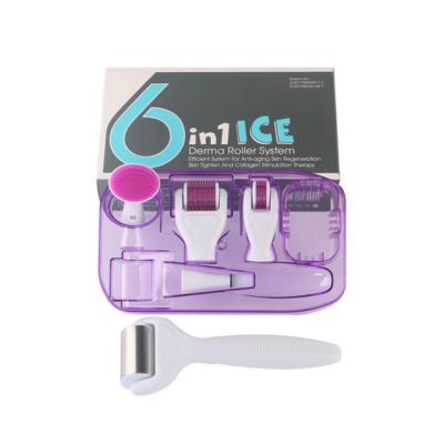China 6 in 1 Derma Roller Kit met Ice Roller Huidkoeling Derma Care Gezichtsverzorging GEEN Plugs Type Te koop