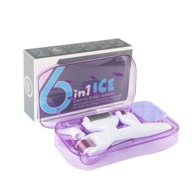 China 6 in 1 Derma Roller Kit met Ice Roller Huidkoeling Derma Care Gezichtsverzorging GEEN Plugs Type Te koop