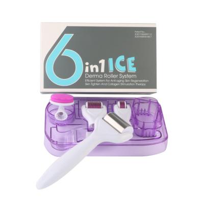 China 6 in 1 Derma Roller Kit met Ice Roller Huidkoeling Derma Care Gezichtsverzorging GEEN Plugs Type Te koop