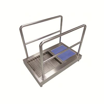 China Non Powered Shoe Sole Washing Machine 304 Stainless Steel Channel Type Hygiene Station for sale