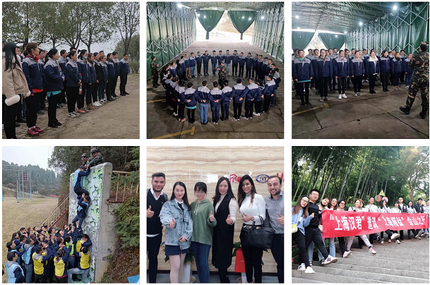Profilo aziendale 0 GRUPPO srl della Cina BOTO